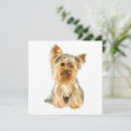 Yorkie Puppy Invitations | Zazzle
