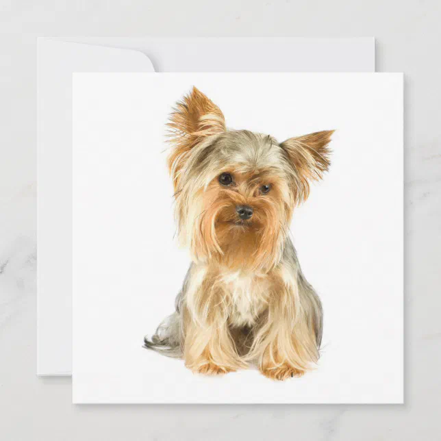 Yorkie Puppy Invitations | Zazzle