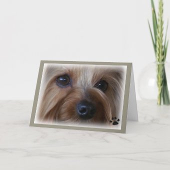 Yorkie Sad Eyes Card | Zazzle