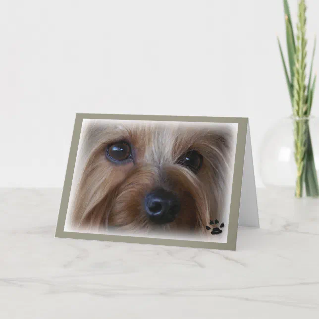 Yorkie Sad Eyes Card | Zazzle