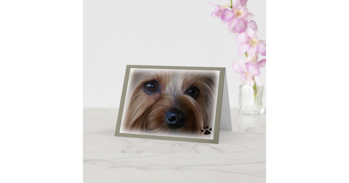 Yorkie Sad Eyes Card | Zazzle