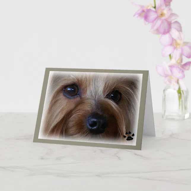 Yorkie Sad Eyes Card | Zazzle
