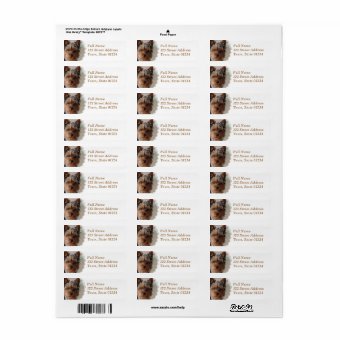 Yorkie Terrier Mailing Label | Zazzle
