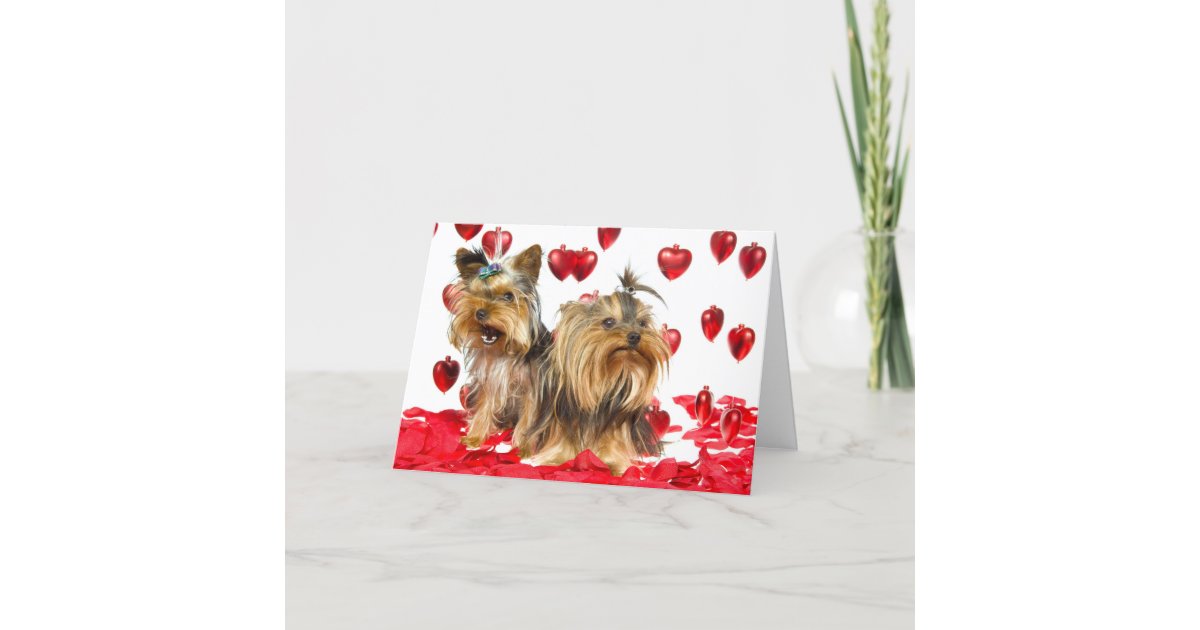 Yorkie Valentine Card | Zazzle