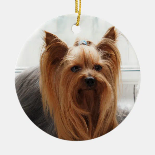 Yorkie Yorkshire Terrier Dog Ceramic Ornament | Zazzle