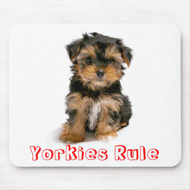Yorkies Rule Yorkshire Terrier Puppy Dog Mousepad | Zazzle