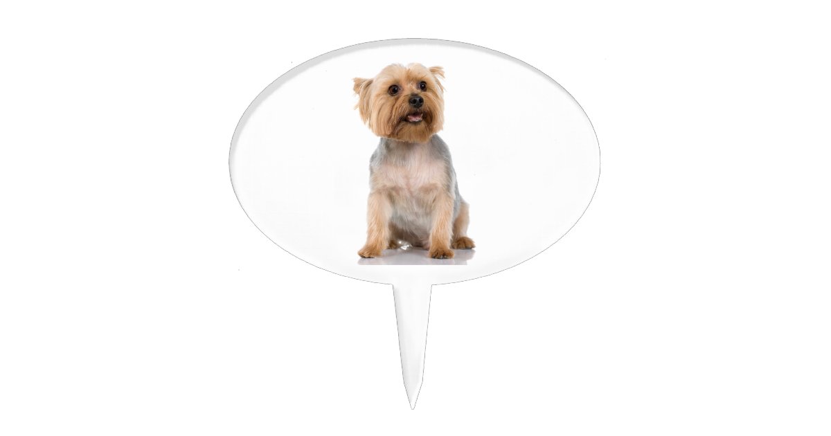 Yorkshire Terrier Cake Topper | Zazzle