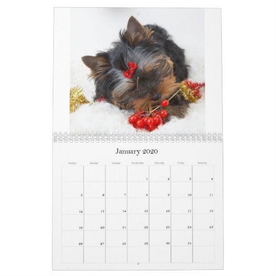 Yorkshire Terrier Calendar | Zazzle.com