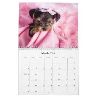 Yorkshire Terrier Calendar | Zazzle