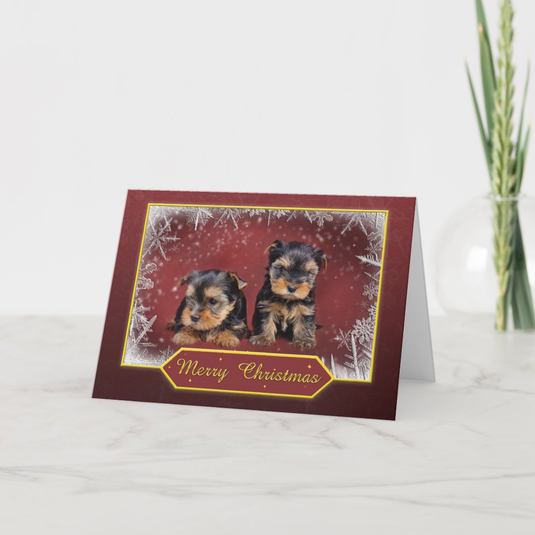 Yorkshire terrier Christmas card | Zazzle