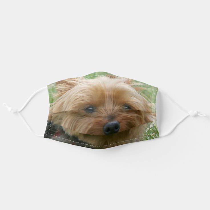 Yorkshire terrier dog face mask cover | Zazzle