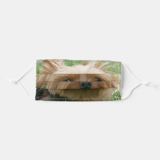 Yorkshire terrier dog face mask cover | Zazzle