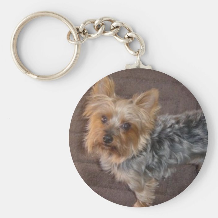 Yorkshire Terrier keychain | Zazzle.com