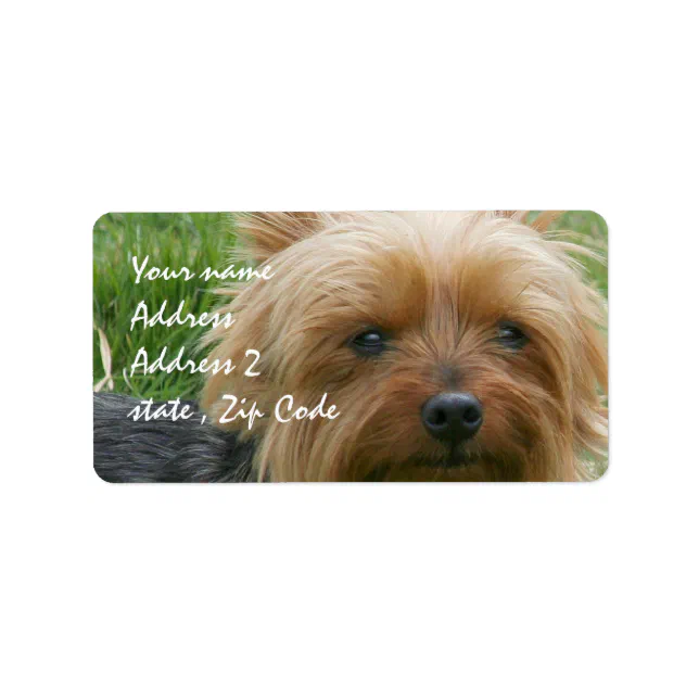Yorkshire Terrier Label | Zazzle