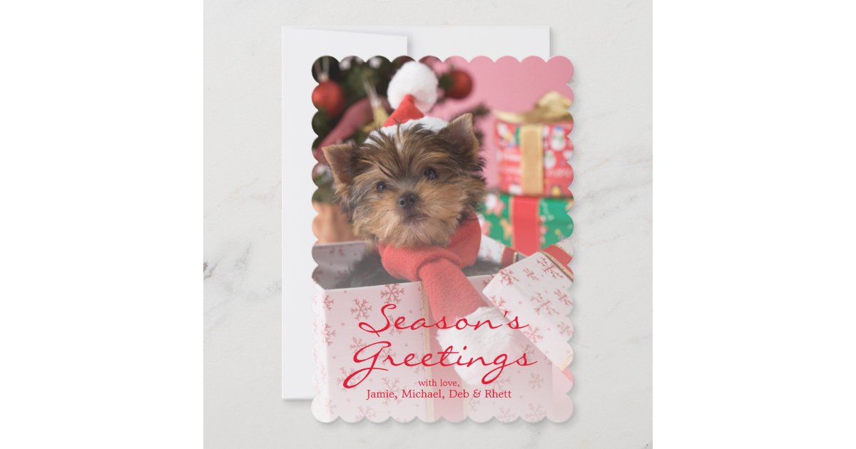 Yorkshire Terrier Puppy and Christmas 2 Holiday Card | Zazzle