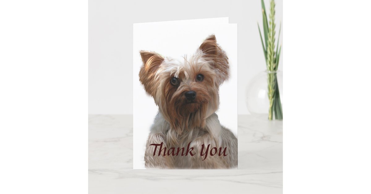 Yorkshire Terrier Thank You Card | Zazzle.com