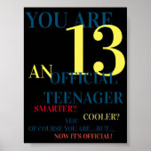 You Are 13 Official Teenager for Boys Birthday Poster | Zazzle