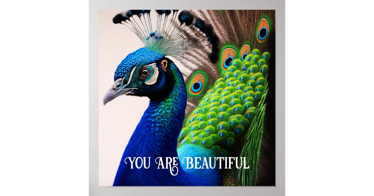 You Are Beautiful Peacock Inspirational Quote Poster | Zazzle