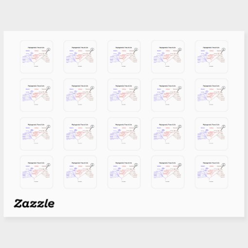 You Are Here Phylogenetic Tree Of Life (Biology) Square Sticker | Zazzle