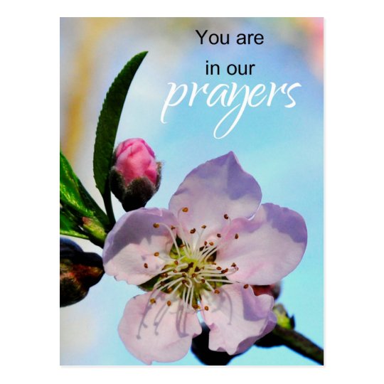 You are in Our Prayers Church Congregation Postcard | Zazzle.com