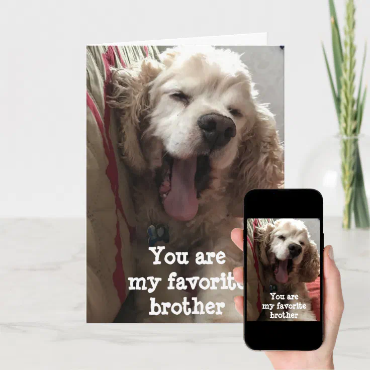 YOU ARE MY FAVORITE ***BROTHER**** BIRTHDAY CARD | Zazzle