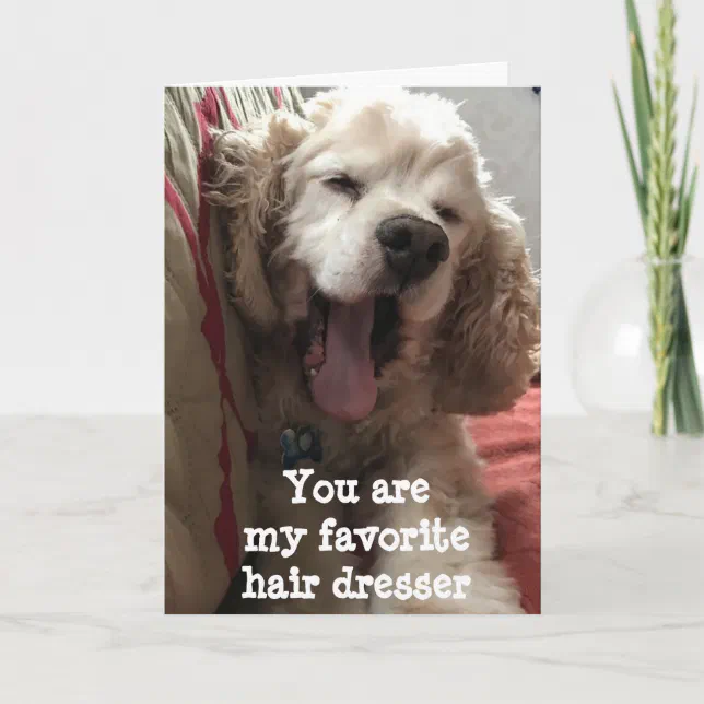 YOU ARE MY FAVORITE ***HAIRDRESSER**** BIRTHDAY CARD | Zazzle