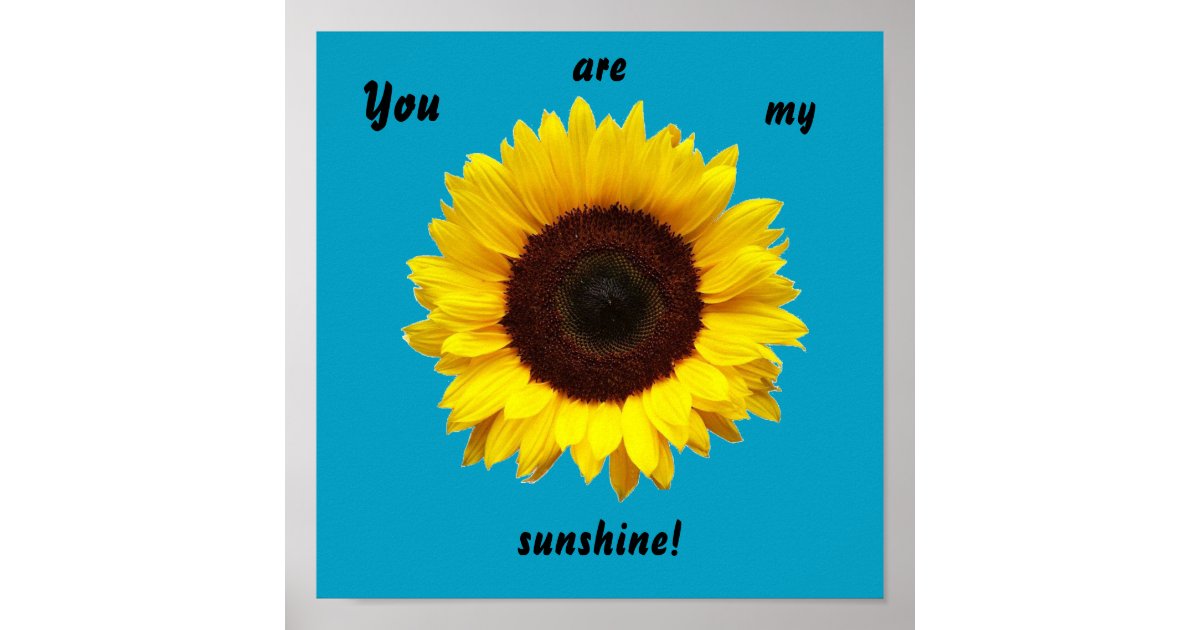 You are my sunshine! Sunflower poster | Zazzle