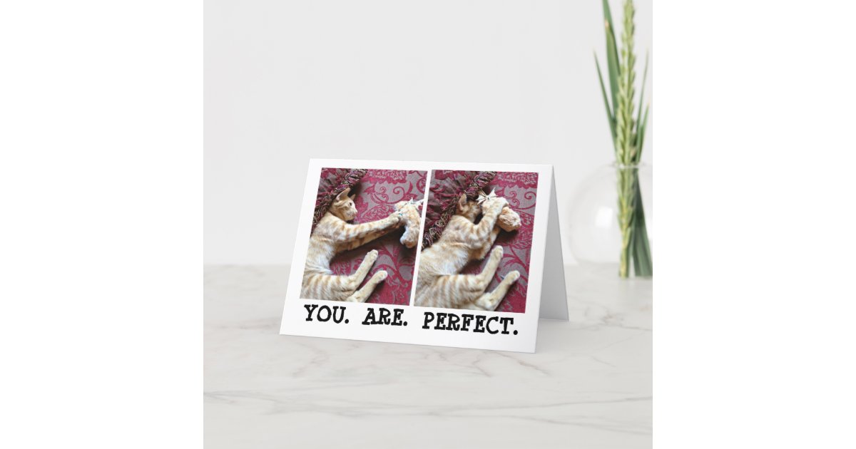 YOU. ARE. PERFECT CARD | Zazzle