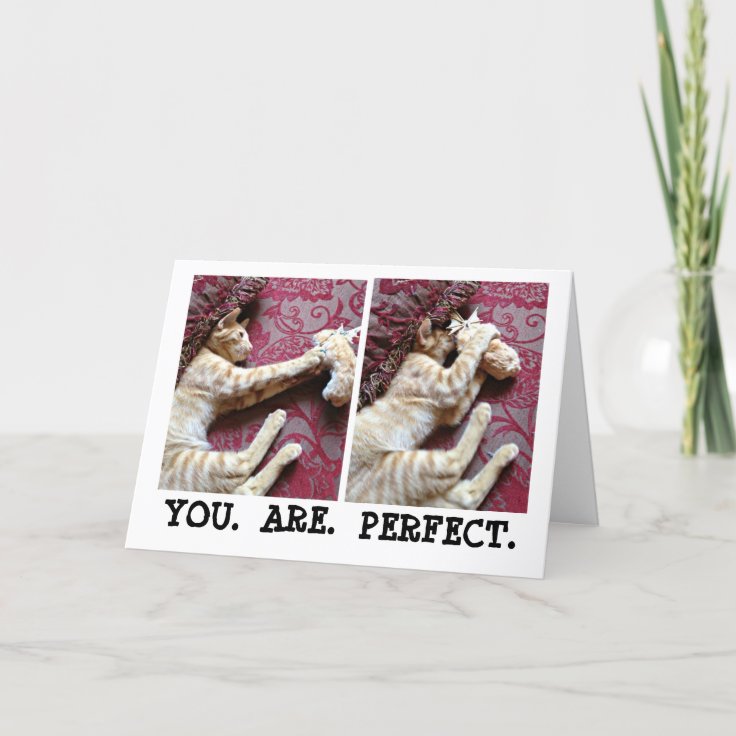 YOU. ARE. PERFECT CARD | Zazzle