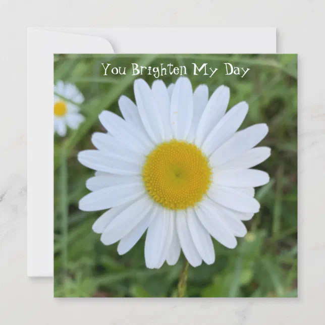 You Brighten My Day Daisy Thank You Card | Zazzle