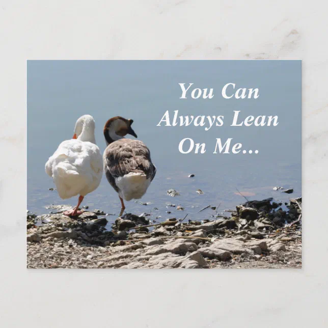 You Can Always Lean On Me Postcard | Zazzle