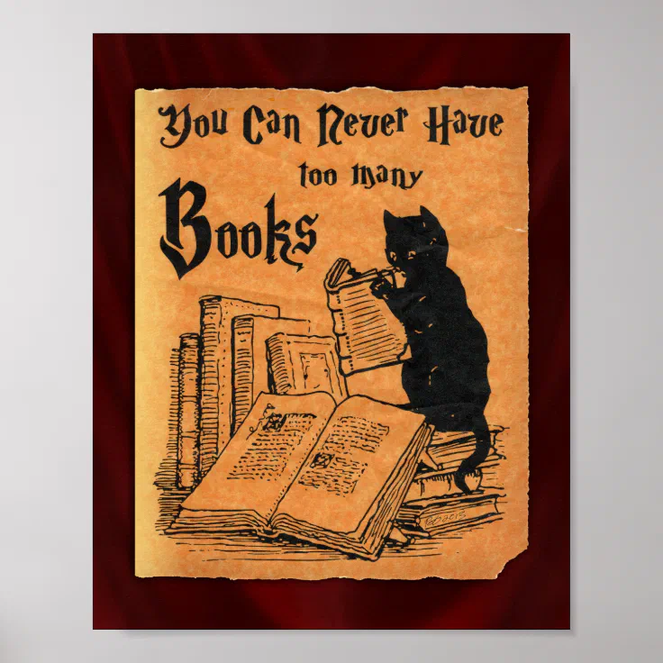 You Can Never Have Too Many Books Cat Poster | Zazzle