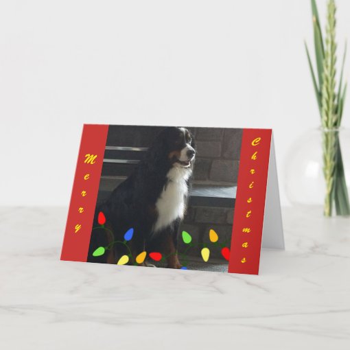 **YOU LIGHT UP MY LIFE** MERRY CHRISTMAS HOLIDAY CARD | Zazzle