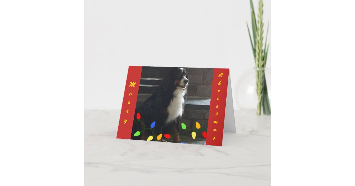 **YOU LIGHT UP MY LIFE** MERRY CHRISTMAS HOLIDAY CARD | Zazzle