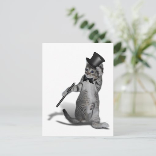You make me feel like Dancing! Tap Dancing Cat Postcard | Zazzle