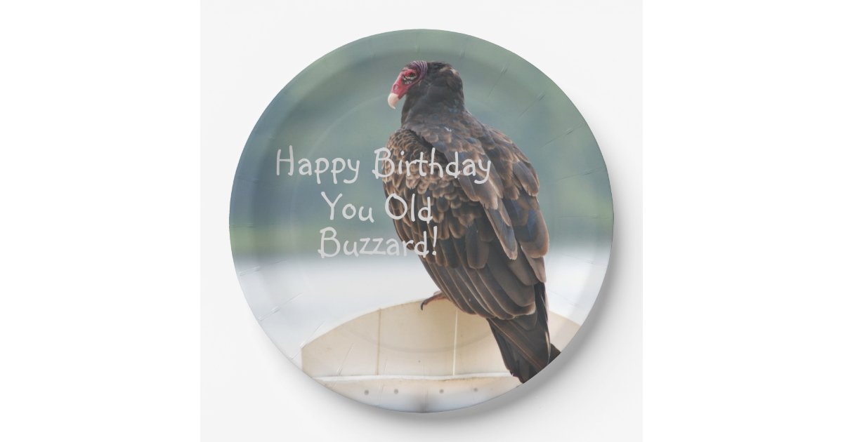 You Old Buzzard Birthday Paper Plates | Zazzle