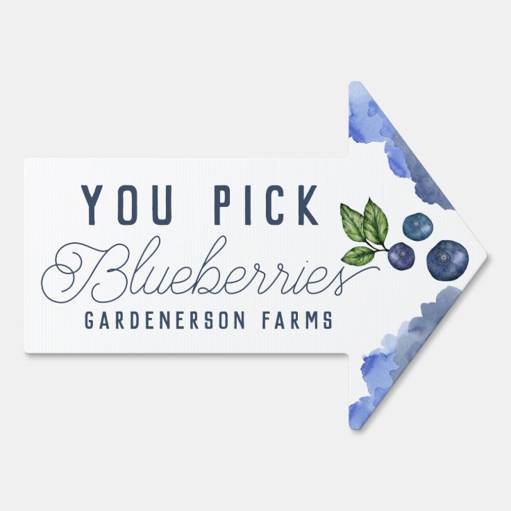 You Pick Blueberries Watercolor Sign | Zazzle