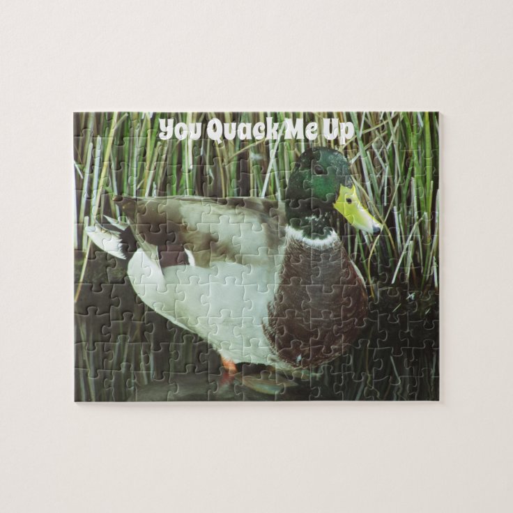 You Quack Me Up Lake Waterfowl Photo Mallard Duck Jigsaw Puzzle | Zazzle