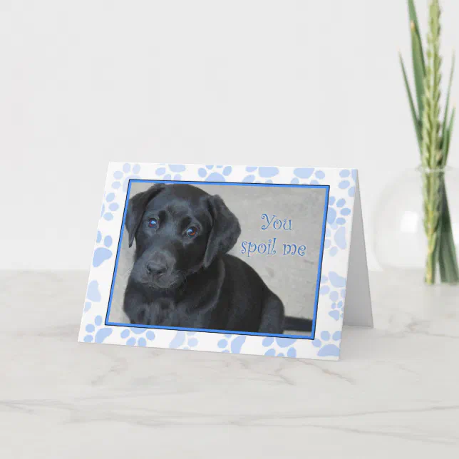 You Spoil Me - I like it! Thank you card | Zazzle
