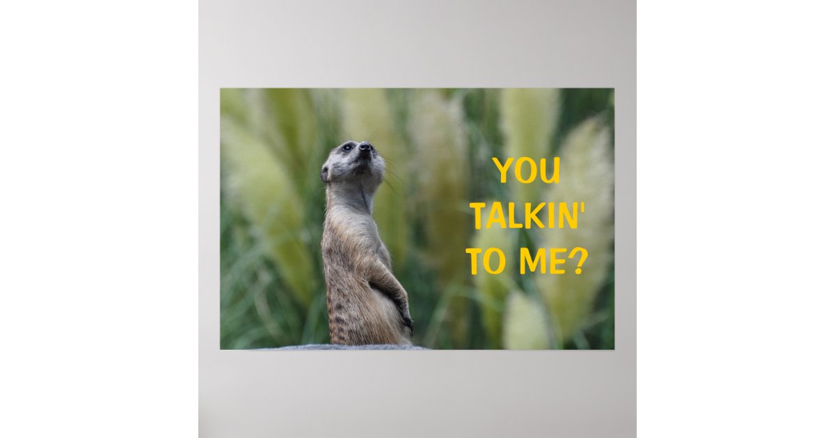YOU TALKIN' TO ME? - poster / print | Zazzle