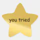 you tried stickers | Zazzle