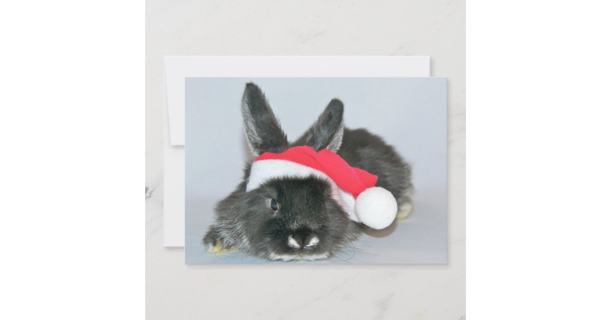 Young christmas rabbit holiday card | Zazzle