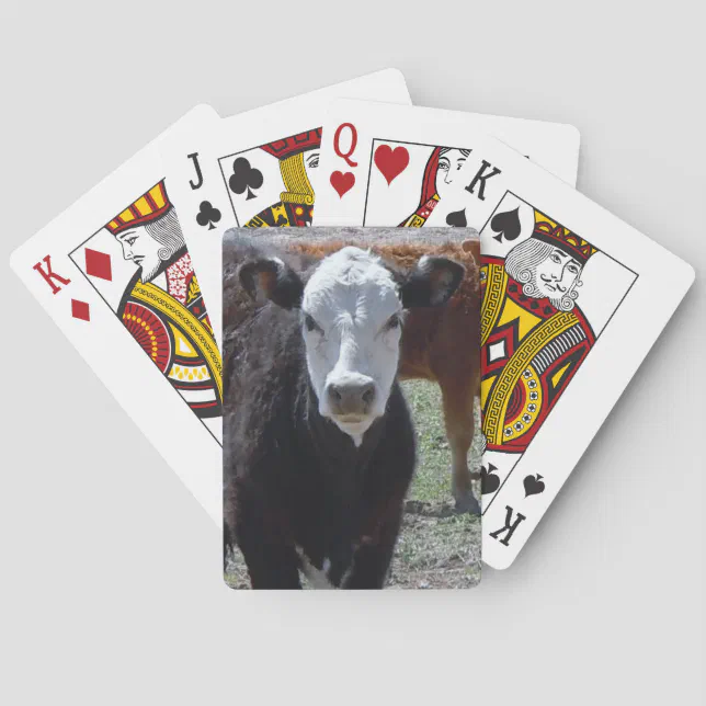 Young Cow Black and White Face Western Poker Cards | Zazzle