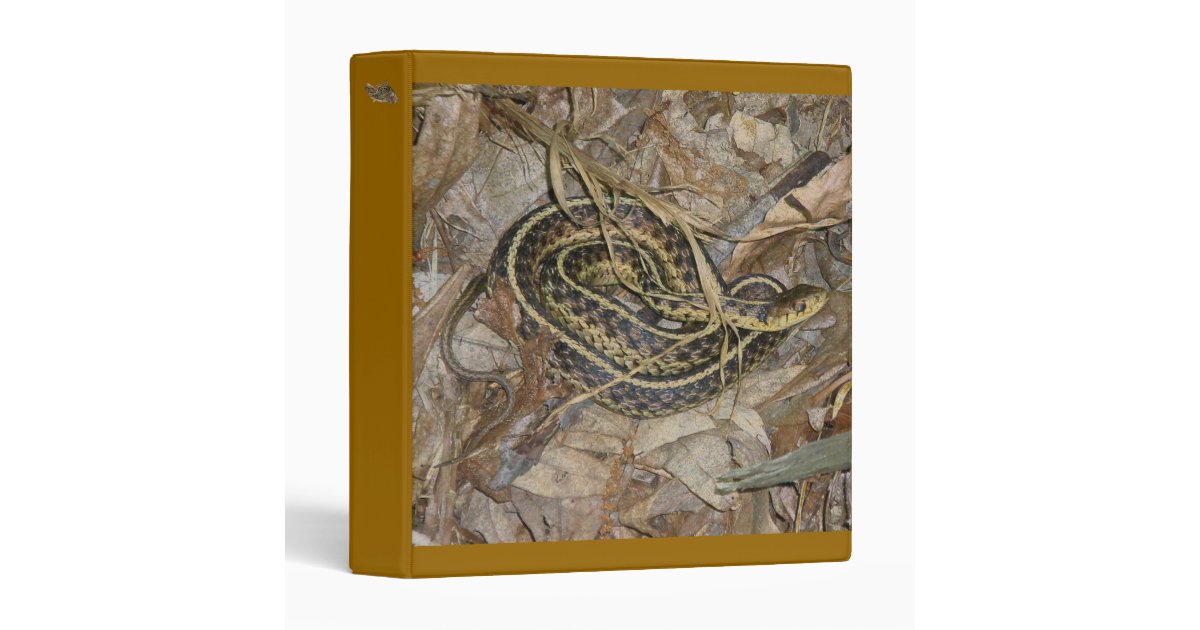 Young Eastern Garter Snake Binder | Zazzle
