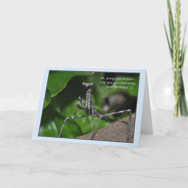 Young grasshopper praying mantis Birthday kung fu Card | Zazzle