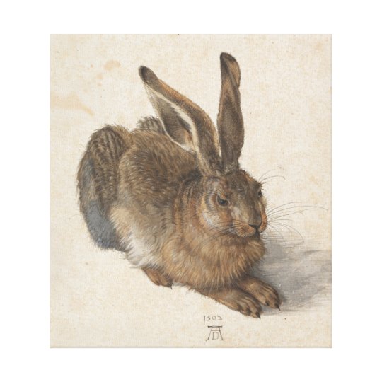 Young Hare Albrecht Durer Canvas Print | Zazzle.com