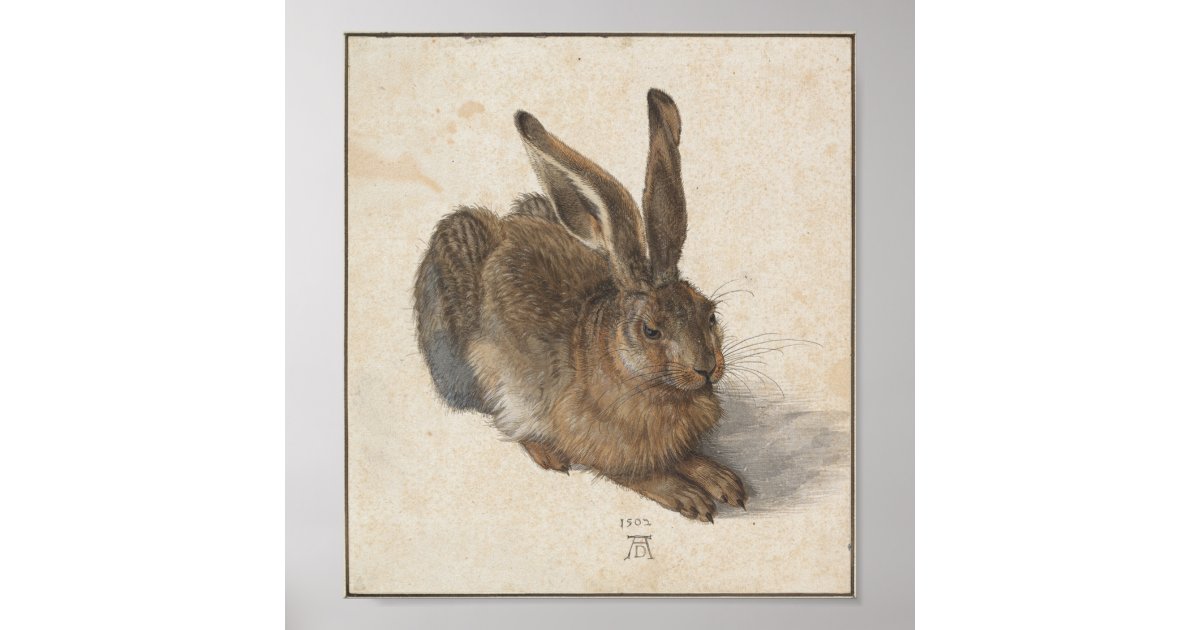 Young Hare by Albrecht Durer Poster | Zazzle