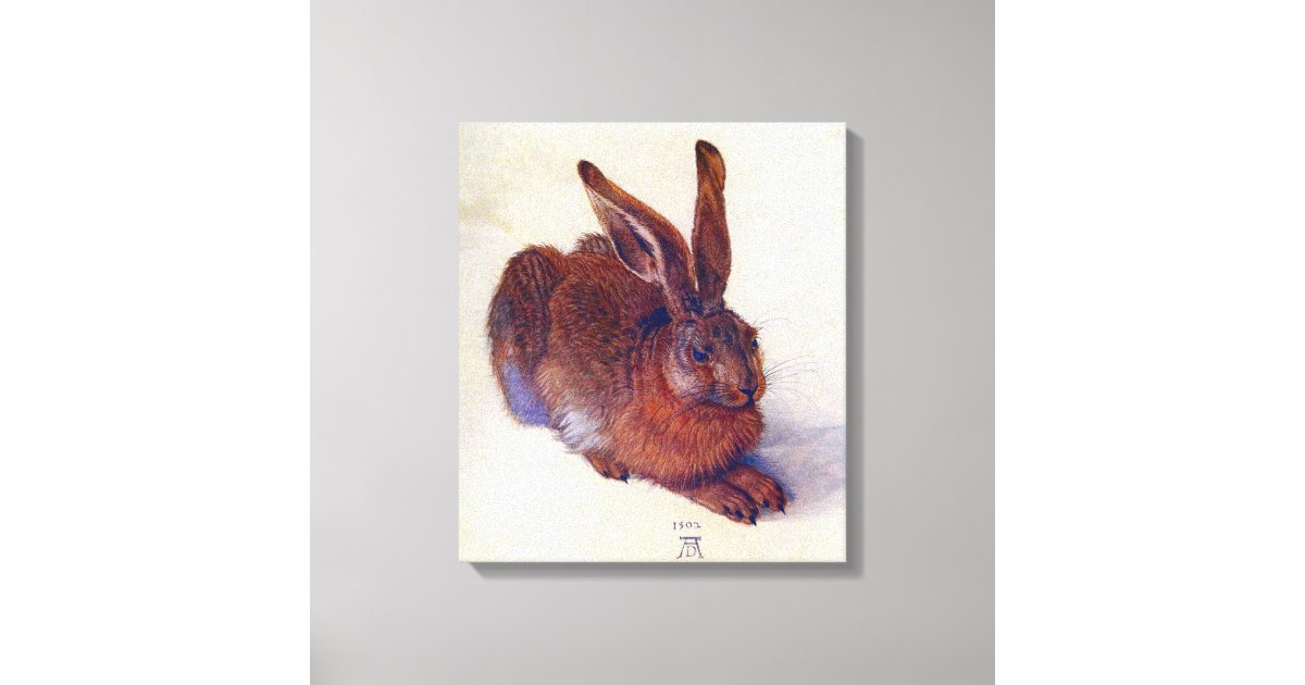 Young Hare by Albrecht Durer, Renaissance Fine Art Canvas Print | Zazzle