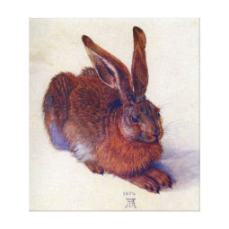 Young Hare by Albrecht Durer, Renaissance Fine Art Canvas Print | Zazzle
