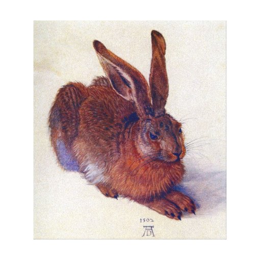Young Hare by Albrecht Durer, Renaissance Fine Art Canvas Print | Zazzle